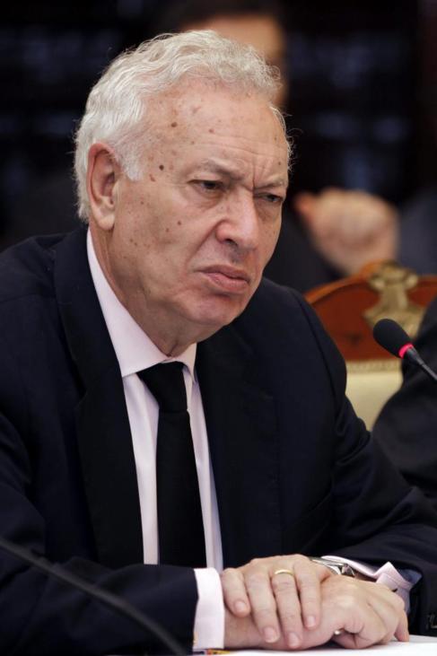 Margallo defiende que Europa debe reforzar la seguridad tras la crisis ...