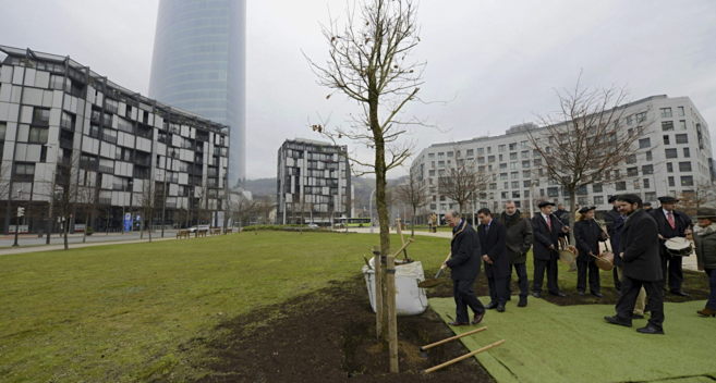 Plantan en Bilbao un retoño del árbol de Gernika como 'símbolo de ...
