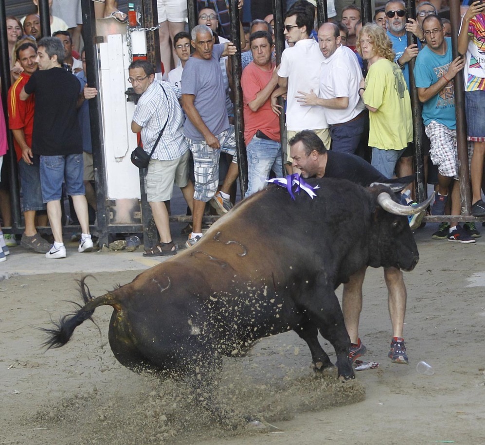 Sobrevivir a las embestidas del toro - Foto 2 de 13 | Comunidad ...