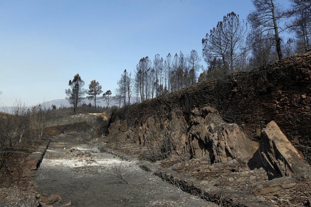 El fuego ha dejado este paisaje desolador en la... | Espana | EL MUNDO
