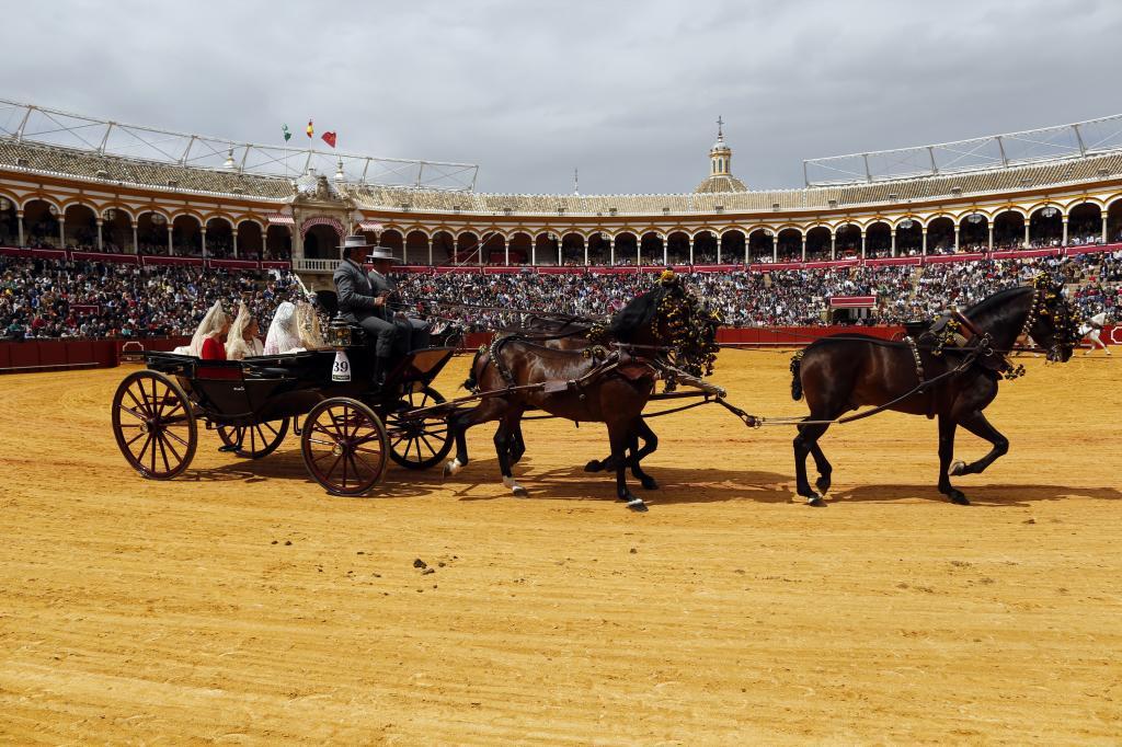 Uno de los enganches, sobre el albero de la... | Sevilla | EL MUNDO