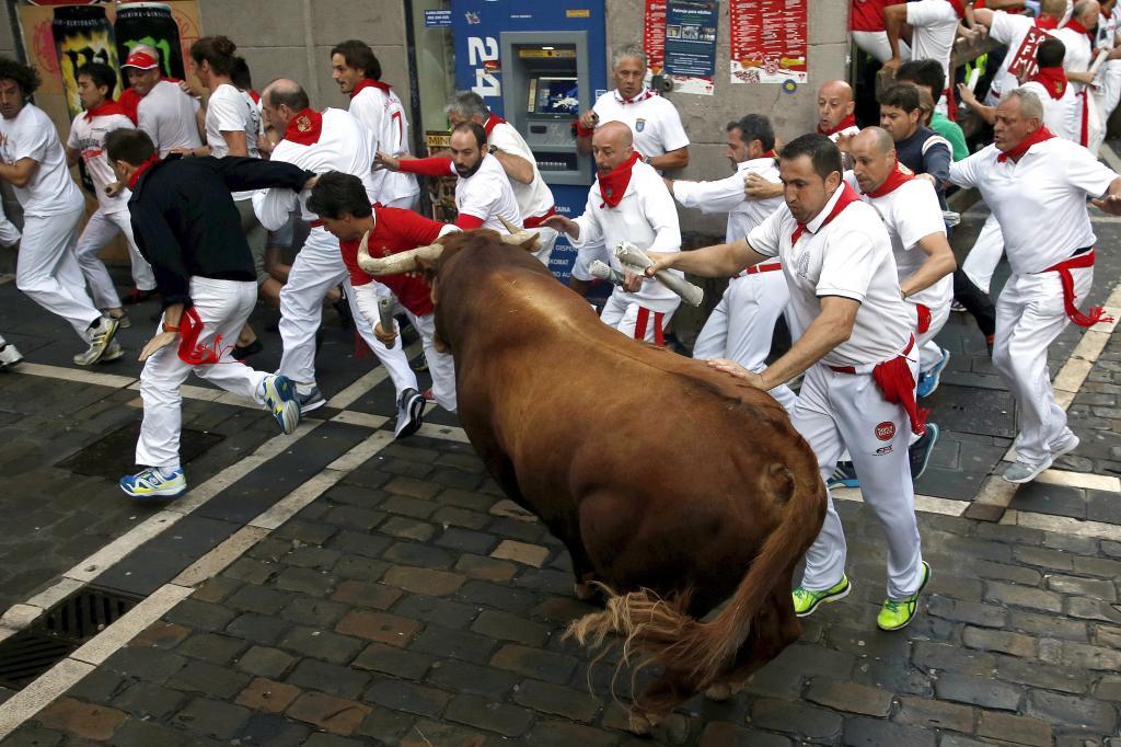 Un toro de la ganadería de cebada gago pasa por... | Cultura Home | EL ...