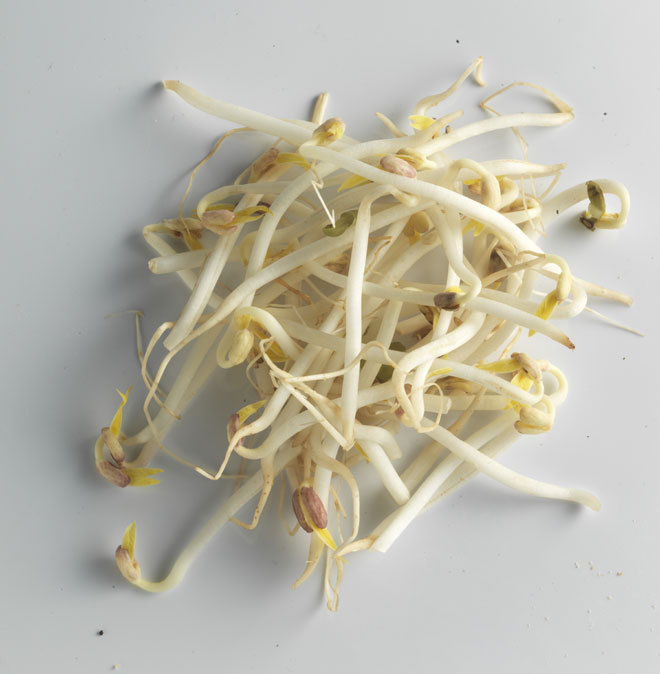 brotes de soja.aportan vitamina k, ácido fólico... | Zen | EL MUNDO