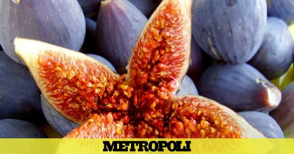 Tiempo de brevas... y de higos, ¡qué gloria! | Gastronomía