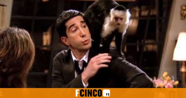 Friends: Marcel, el mono de Ross, vuelve a la televisión | Mira