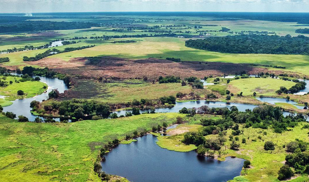 LAS TURBERAS TROPICALES MÁS GRANDES | El Baúl | EL MUNDO