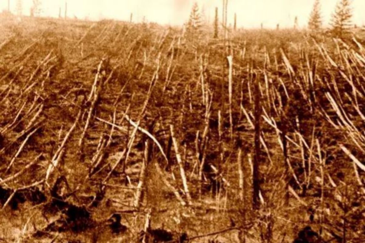 Tunguska 1908: el asteroide que se quedó a cinco horas de arrasar San ...