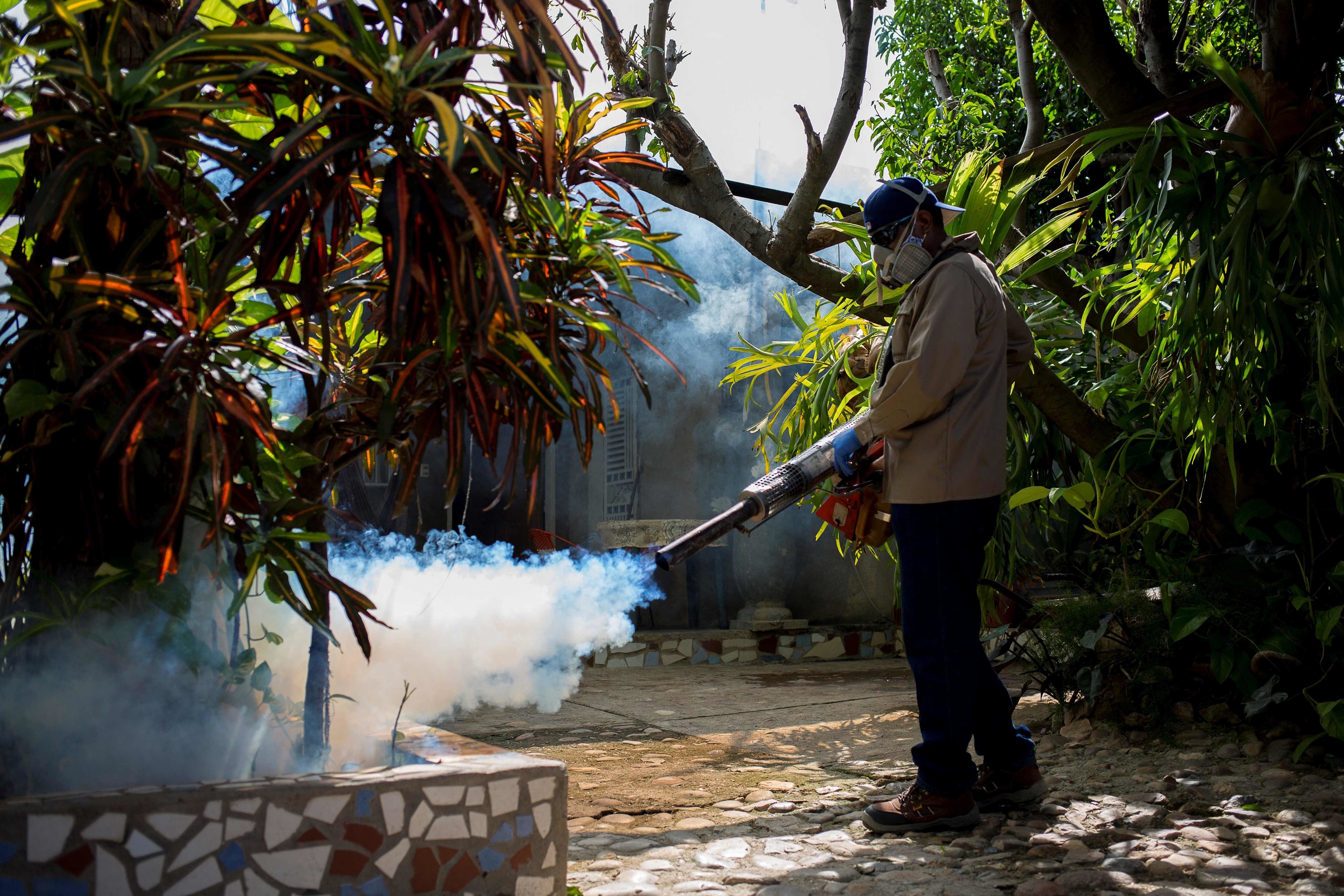 China ha erradicado la malaria después de 70 años de lucha, según la ...