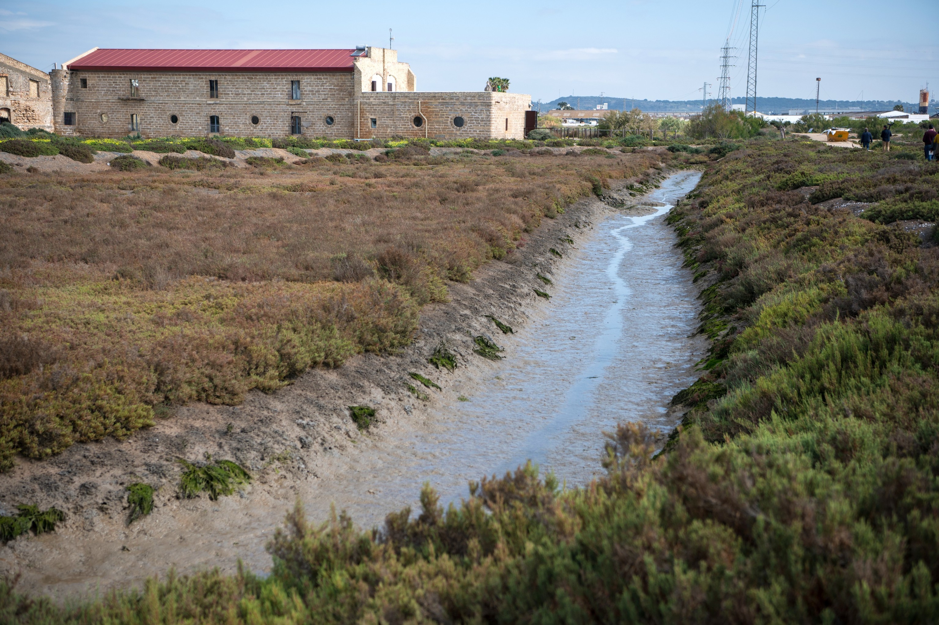 Un día en las marismas de Aponiente | Gastronomía