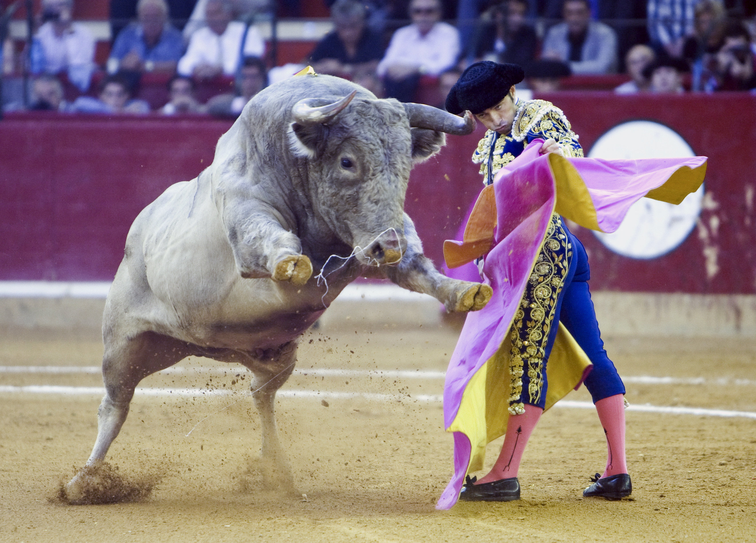 Noticias de Toros | EL MUNDO