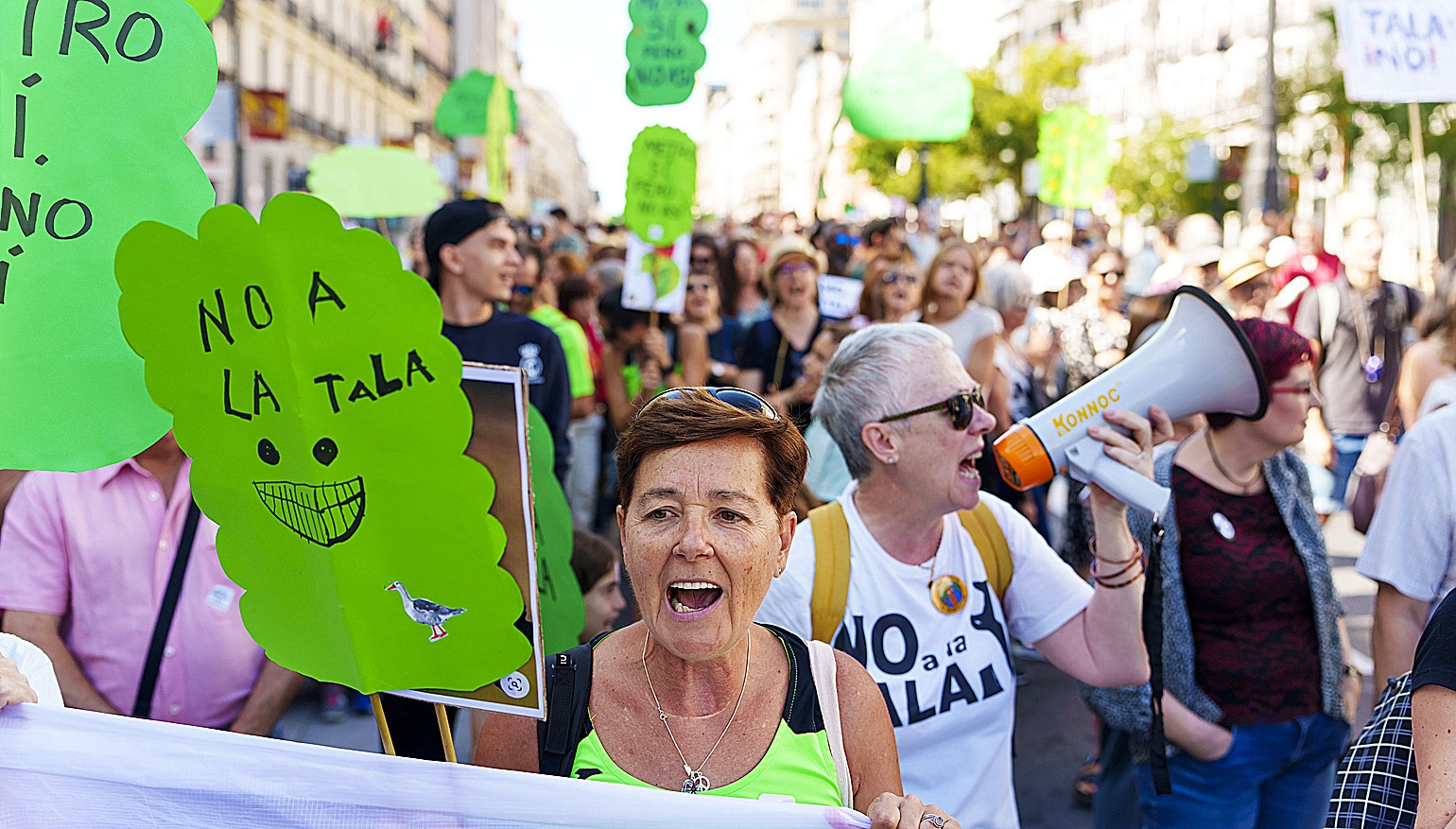 Cerca de 2.000 ciudadanos protestan contra la tala de árboles por la ...
