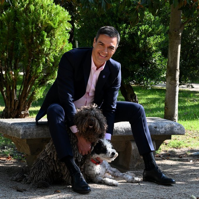 El año del perro, ¿verdad sanxe?: el 'merchandising perruno' se agotó ...
