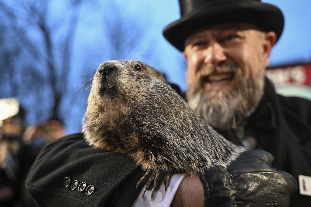 Un 'meteorólogo' de ficción: la marmota Phil pronostica una primavera ...