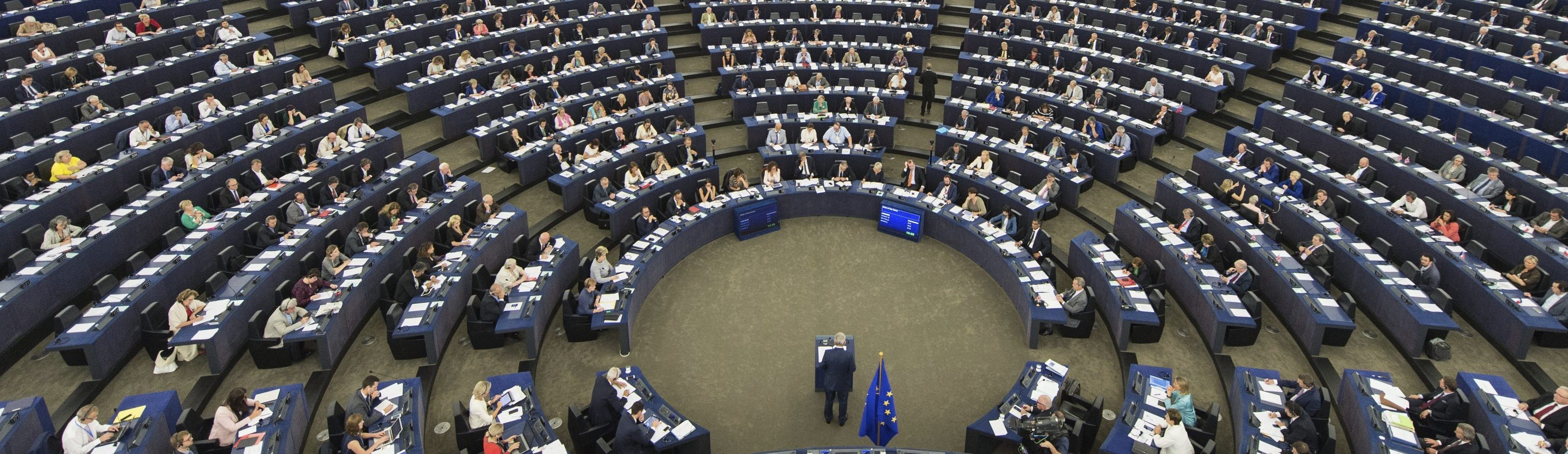 ¿Cómo se organiza el Parlamento Europeo y cuáles son los grupos ...