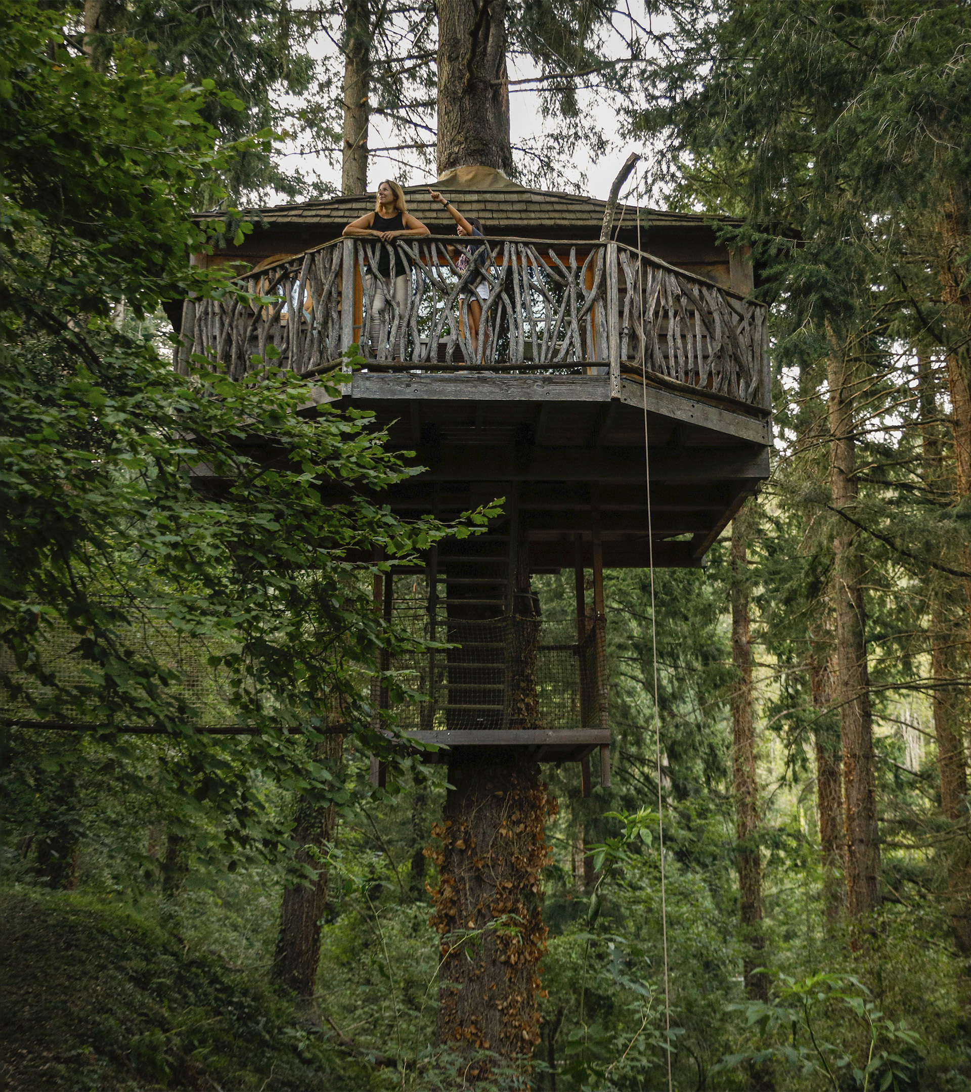 Una noche en la casa del árbol: "Es como dormir en un ser vivo" | Historias