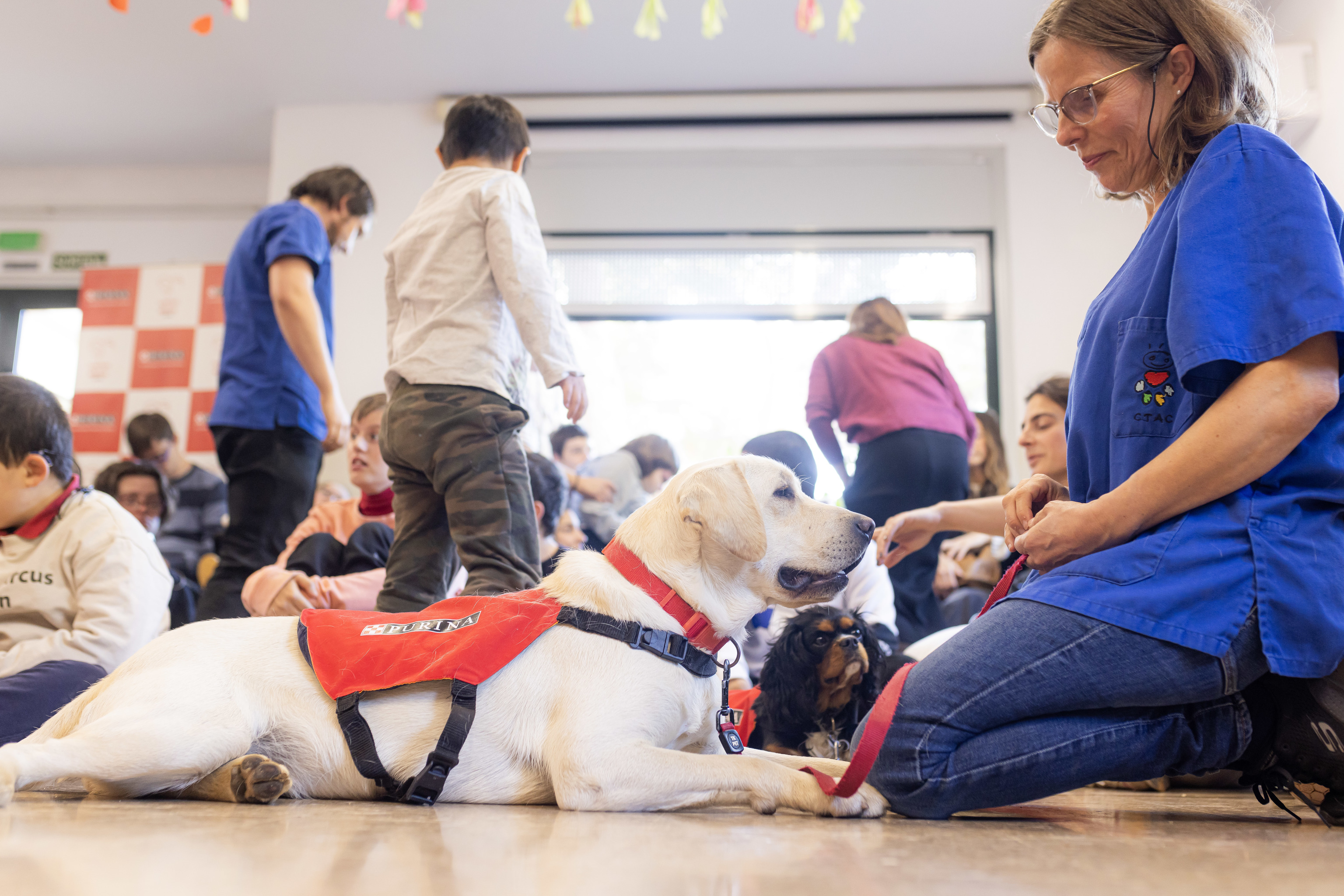 Perros de terapia, la experiencia pionera en los hospitales contra la ...