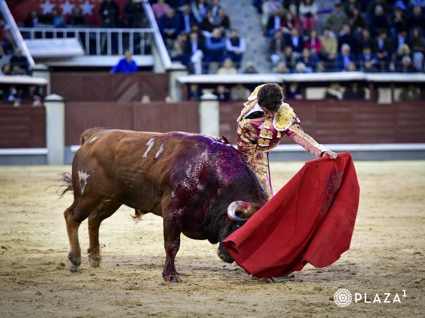 San Fermín: Víctor Hernández, seria duda para Pamplona: "Hay mejoría ...