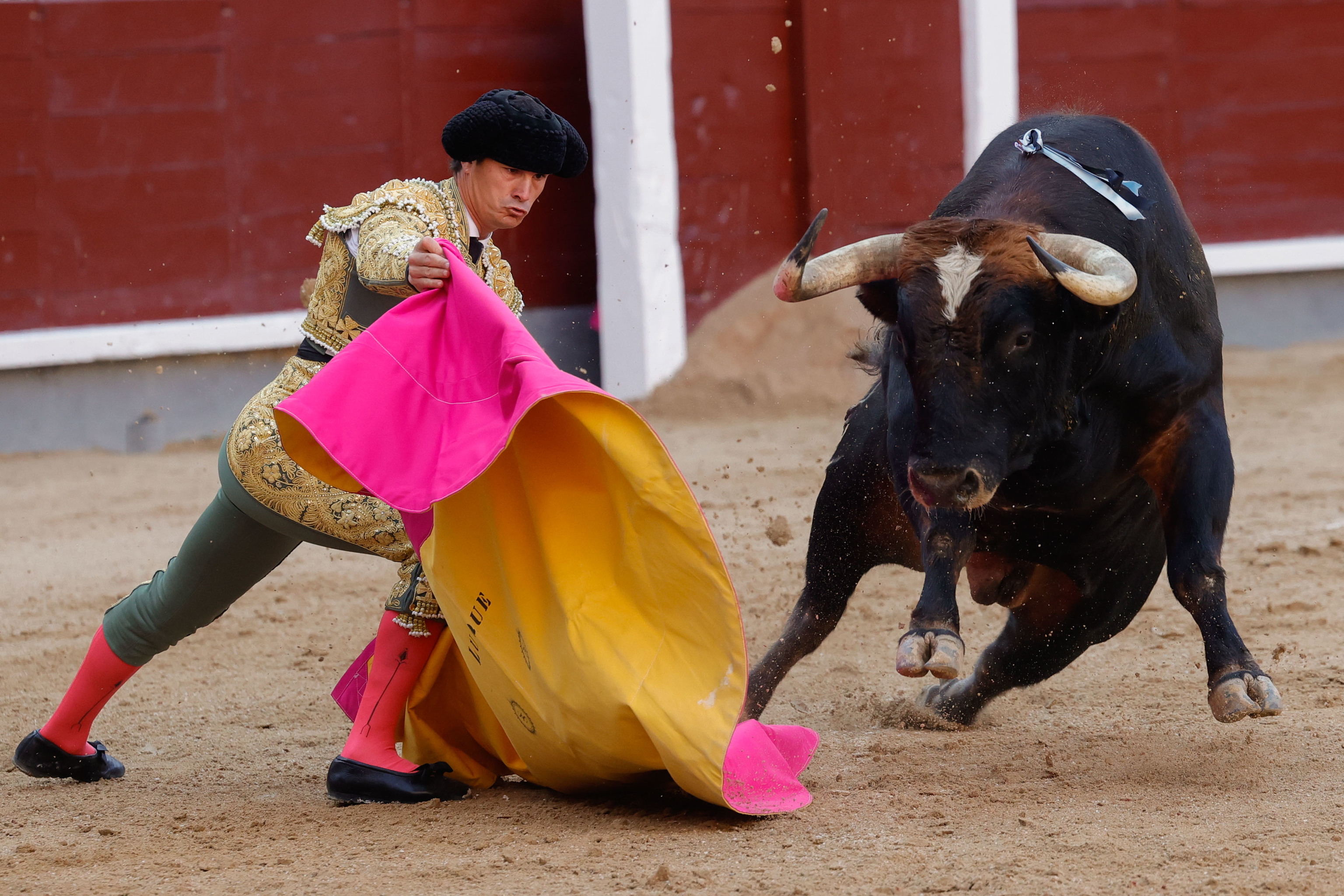 Toros Feria de San Isidro 2025: quién torea hoy domingo 25 de mayo y ...