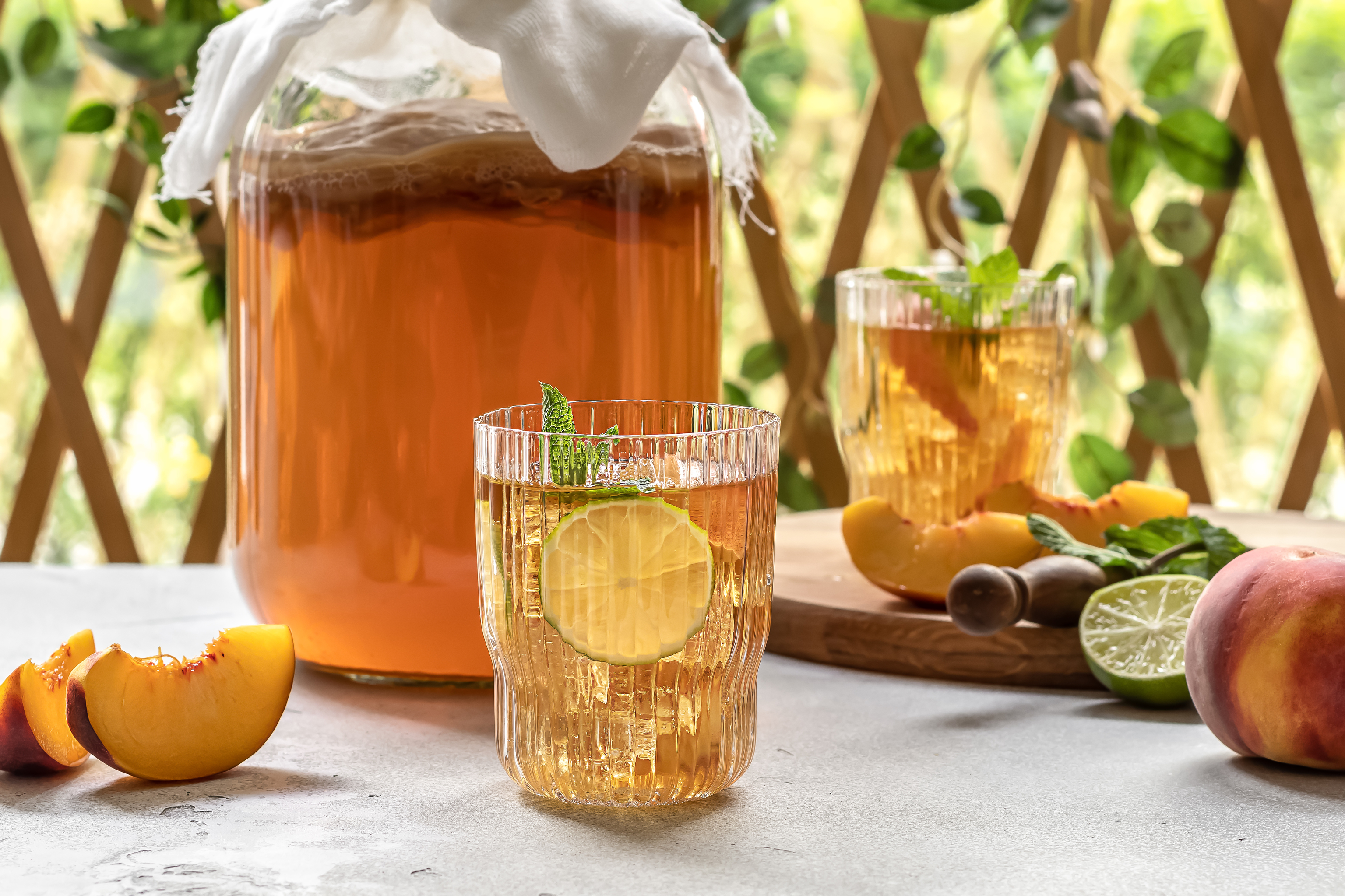 La kombucha sigue sumando evidencia científica: se publica el primer ...