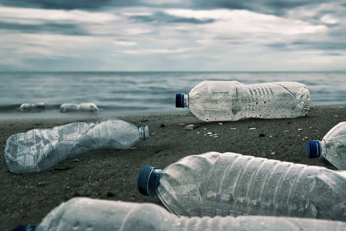 Un reciente estudio revela que las botellas de vidrio contienen más ...