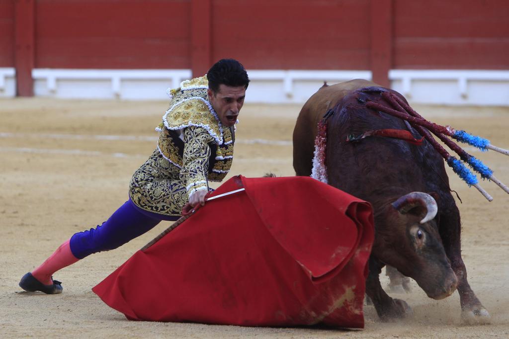Talavante indulta un toro de Cuvillo y Marco Pérez resulta cogido y ...