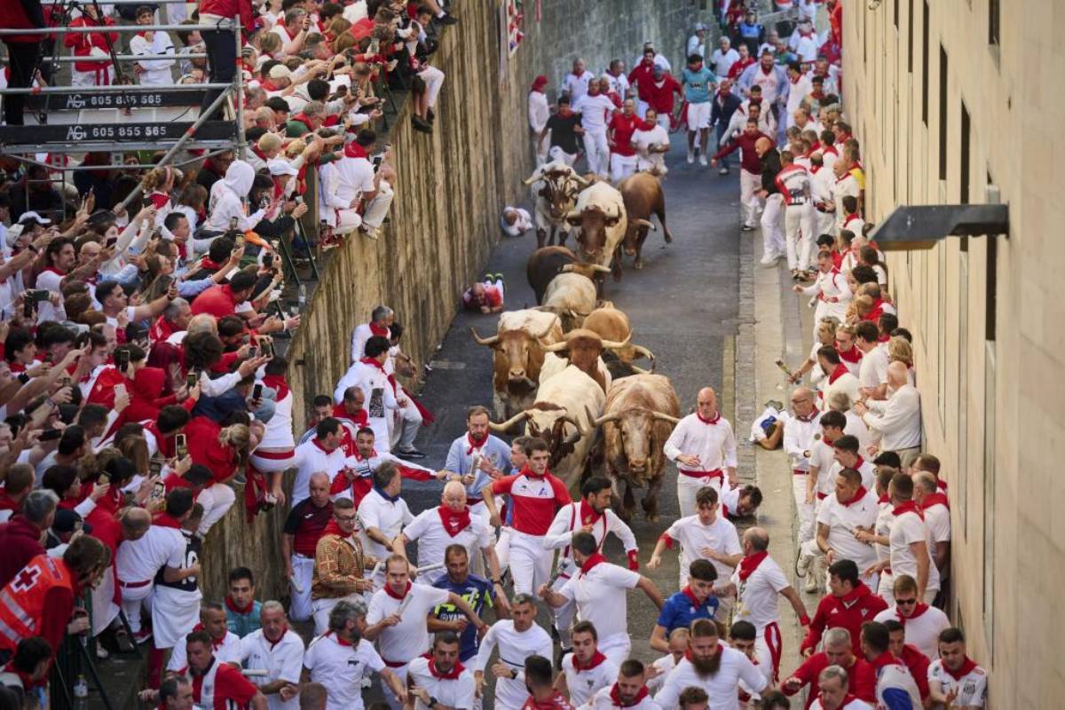 San Fermín - Noticias de San Fermín | EL MUNDO