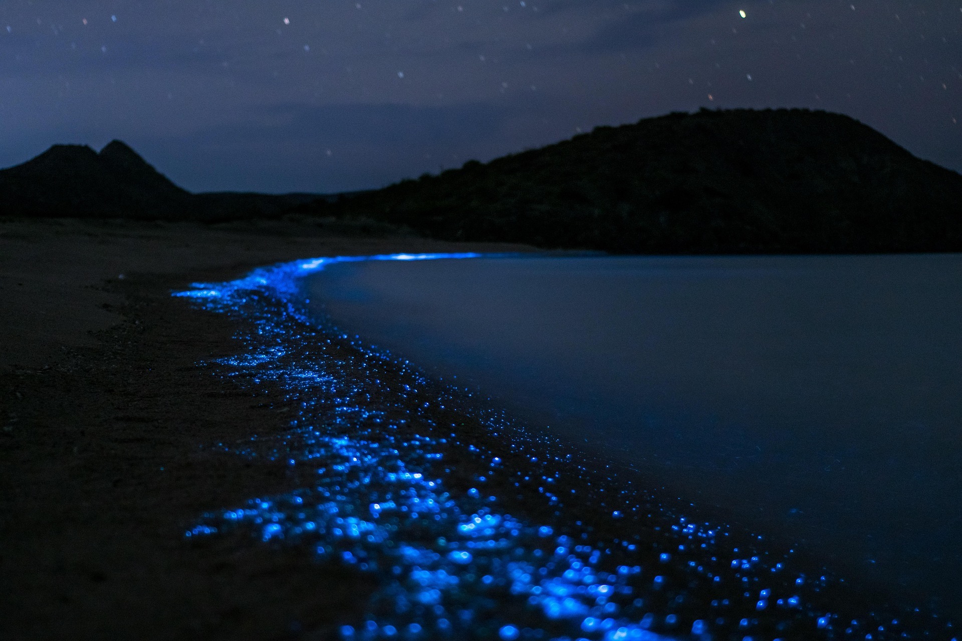 Están son las playas de Galicia donde el mar brilla de noche: así es el ...