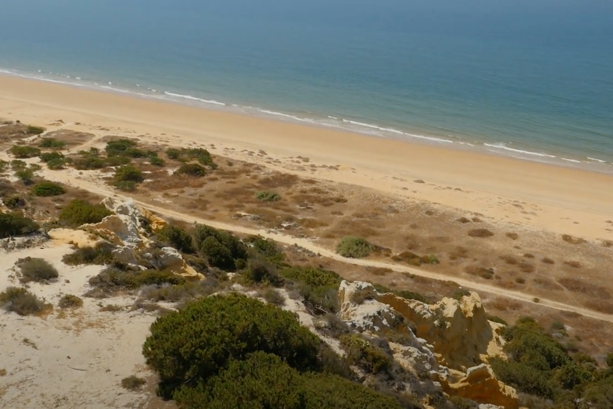 La playa escondida de Huelva con acceso entre pinares: perfecta para ...