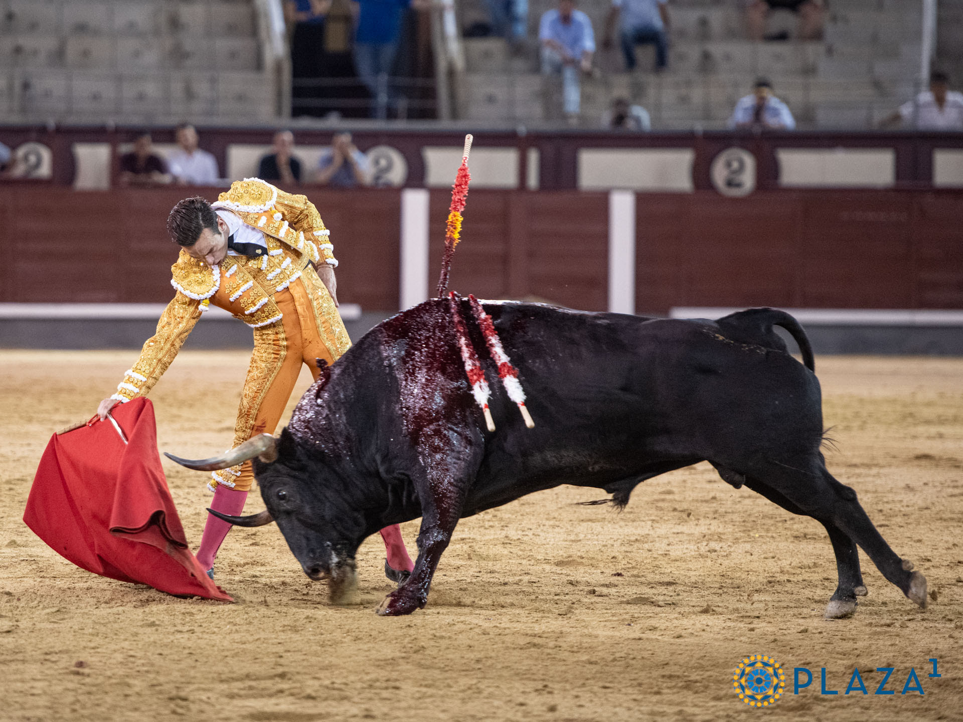 Noticias de Toros | EL MUNDO