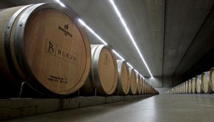 Una nueva bodega para la D.O. de Arlanza | elmundo.es