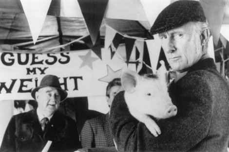 Muere el creador de la novela que inspiró la película 'Babe, el cerdito ...
