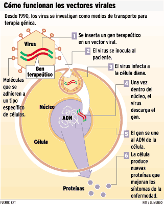 - EL MUNDO | Suplemento de Salud 419 - Centenares de virus se ensayan ...