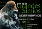 NAVEGANTE.COM | Especial El Planeta de los Simios